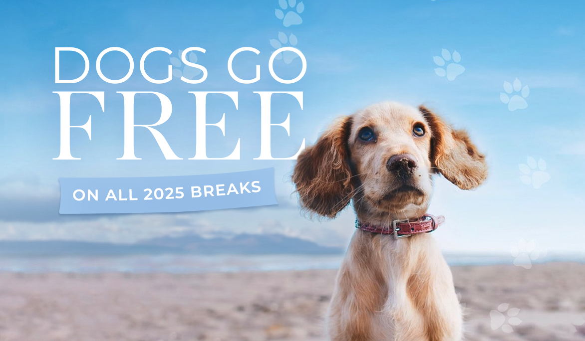 Dogs Go Free Offer | Heads of Ayr Holiday Park